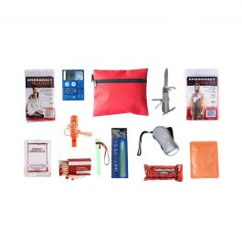 Guardian Mini Survival Kit
